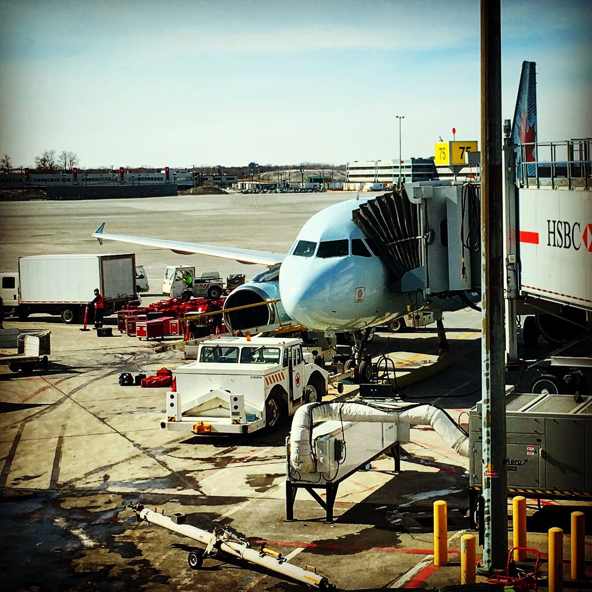 Jordan Bourque (@JordanFBourque) | Twitter