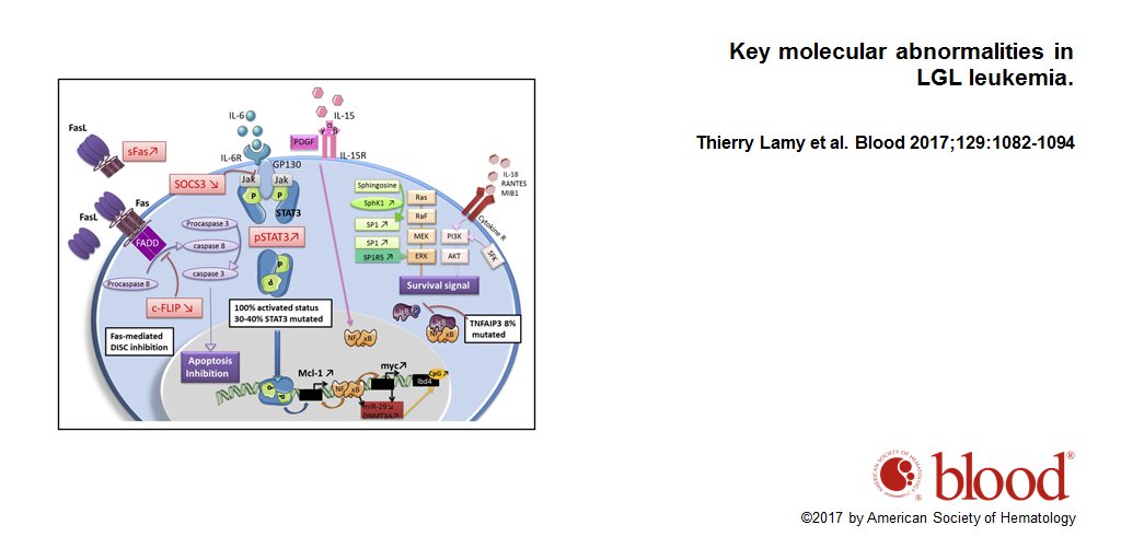 Lgl Leukemia Pathogenesis