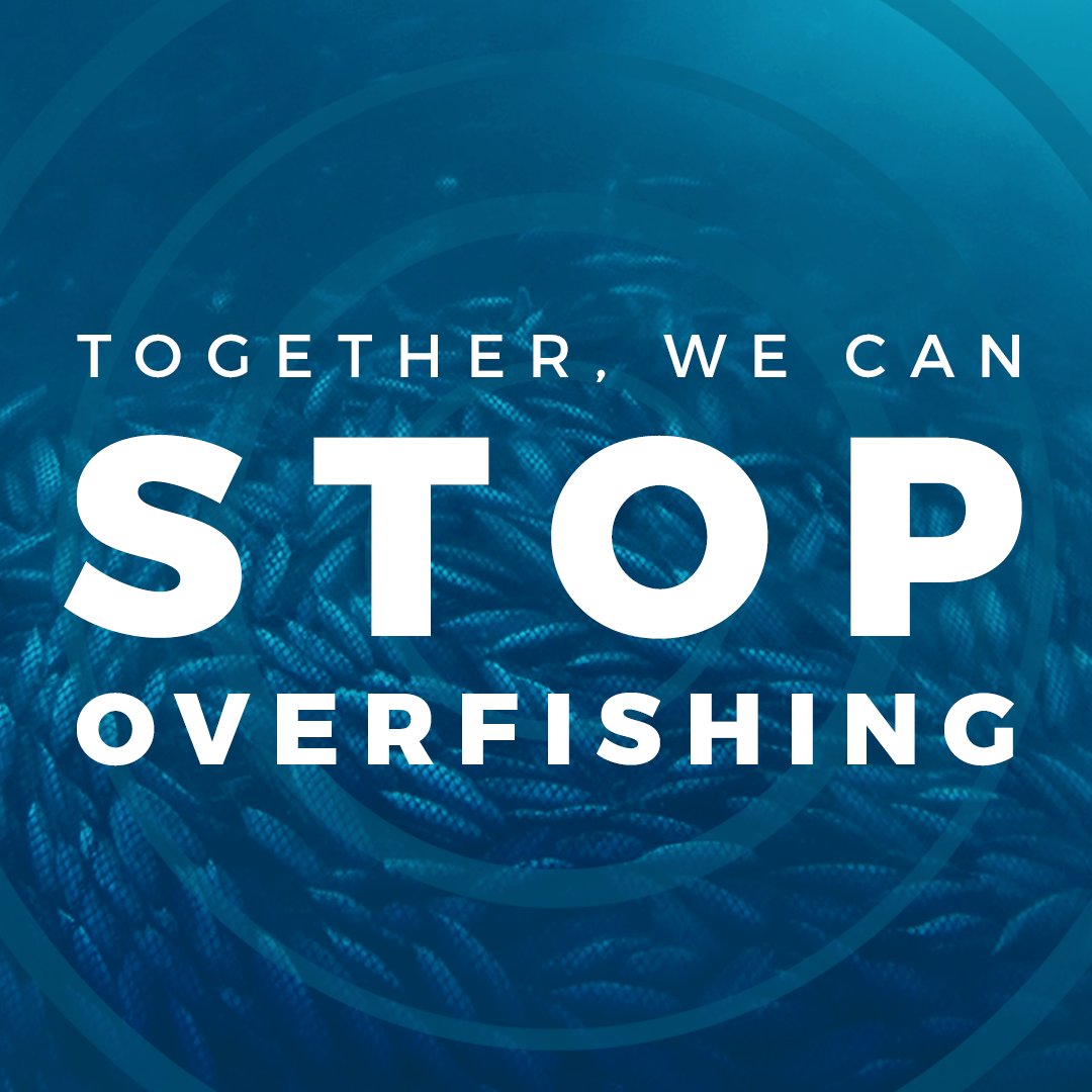 Stop Overfishing