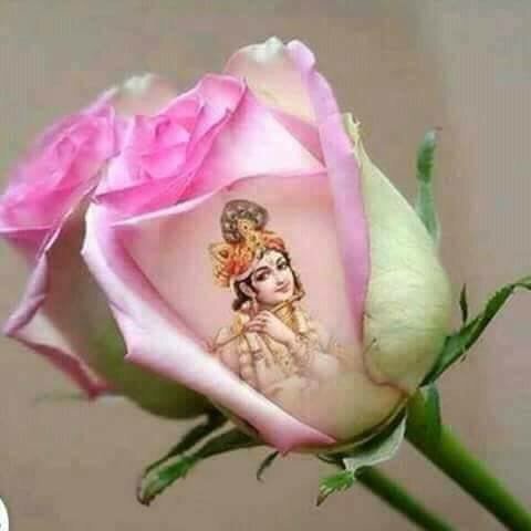 Patrick Pushkar (@Patrick_Pushkar) | Twitter