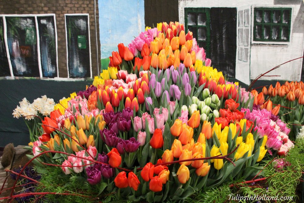 Huge Tulips Bouquet