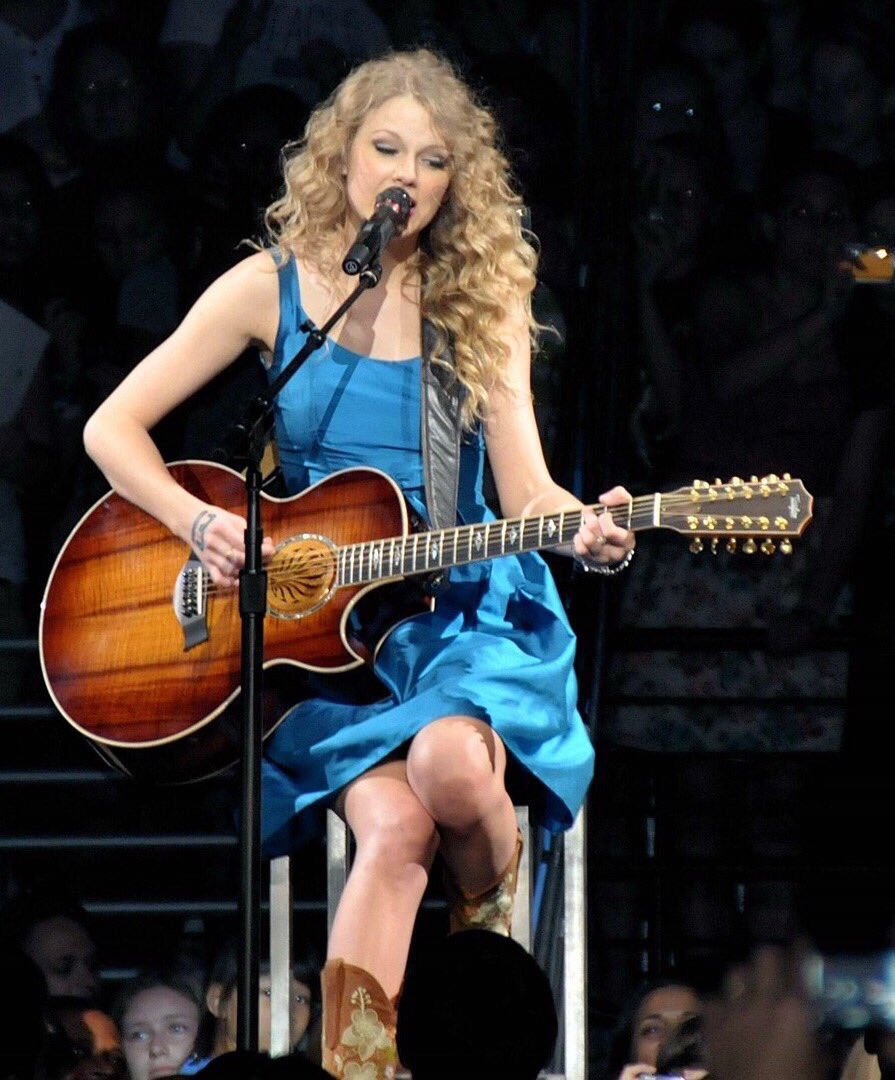 Taylor Swift Fifteen Dress