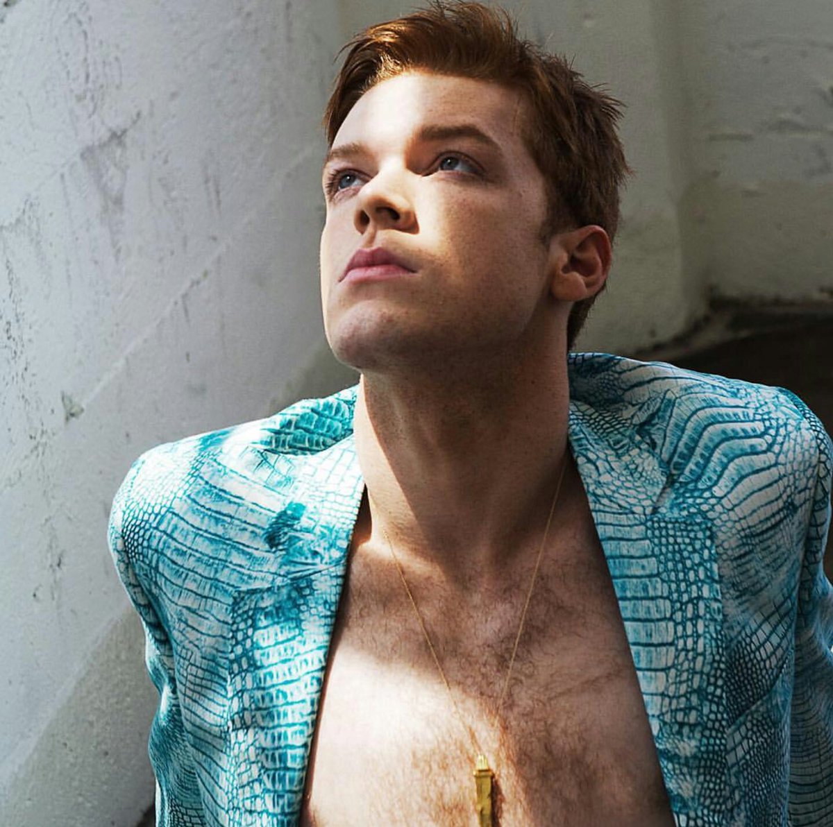 Cameron Monaghan Shirtless