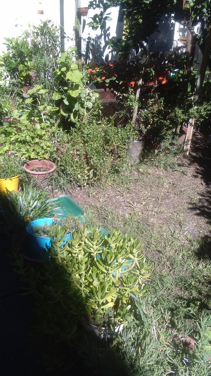 Andre Chiarelli (@AndreChiarelli1) | Twitter