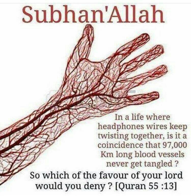 Picture Of Allah Human Form