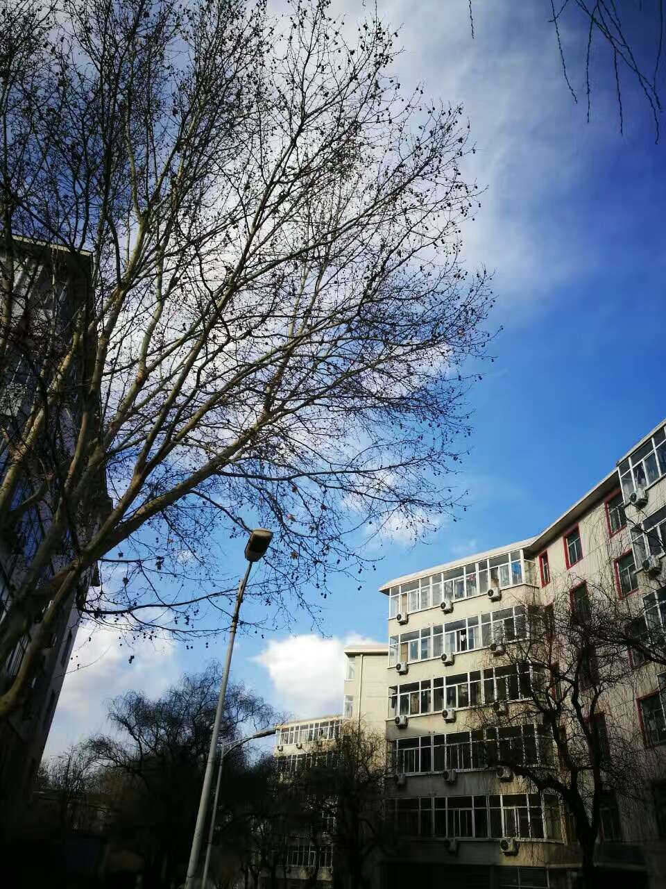 Cui-wenbo (@wenbo_cui) / Twitter