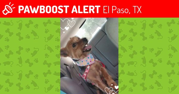 Sharp Cookie (@SharpCookie_Ep) | Twitter