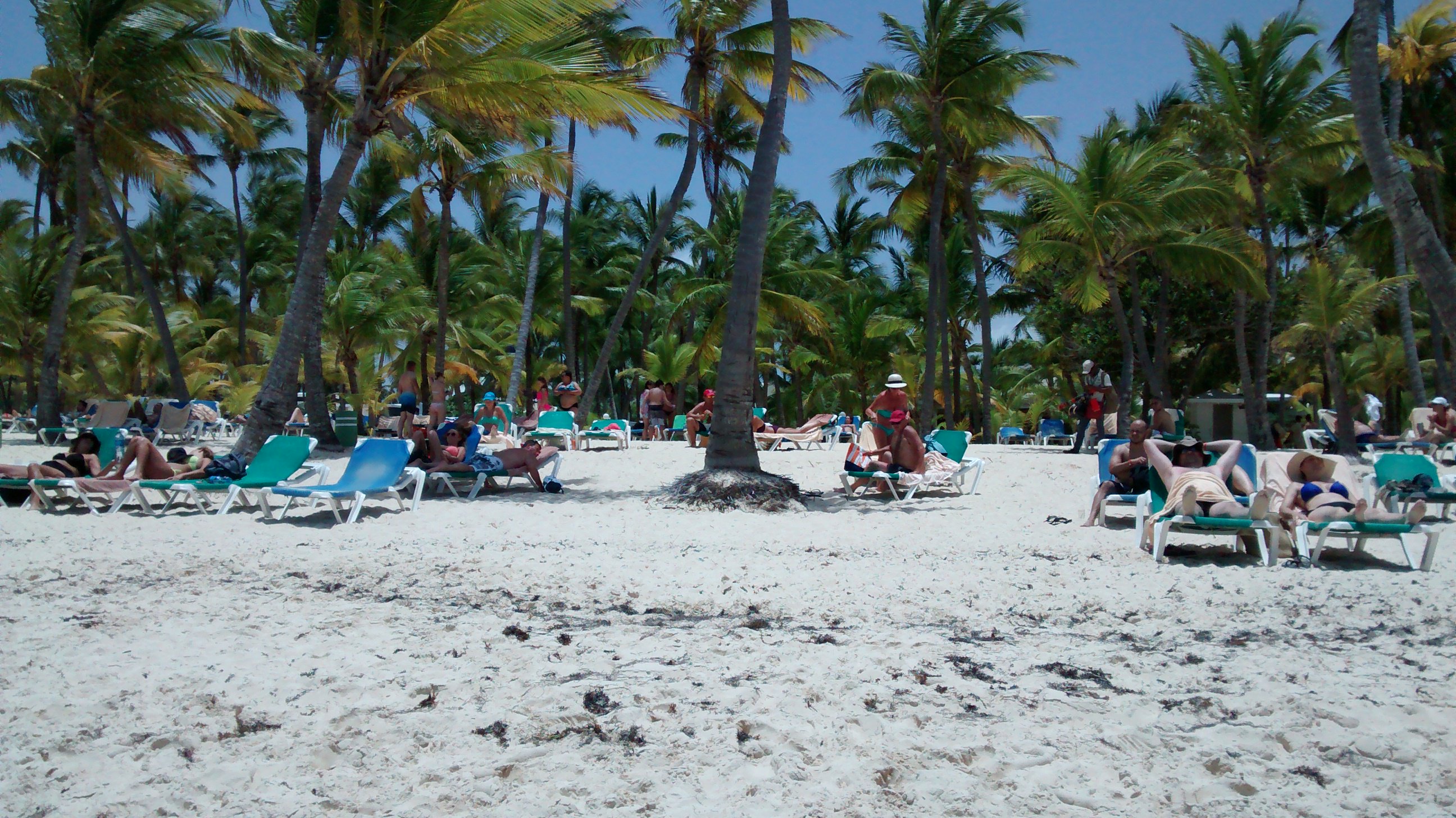 Tomas Blasetti (@tomas_blasetti) / Twitter