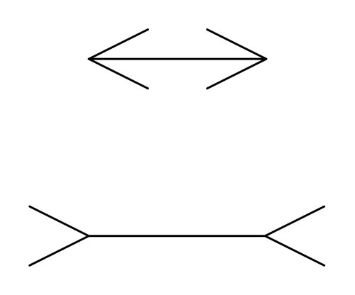 Muller Lyer Illusion