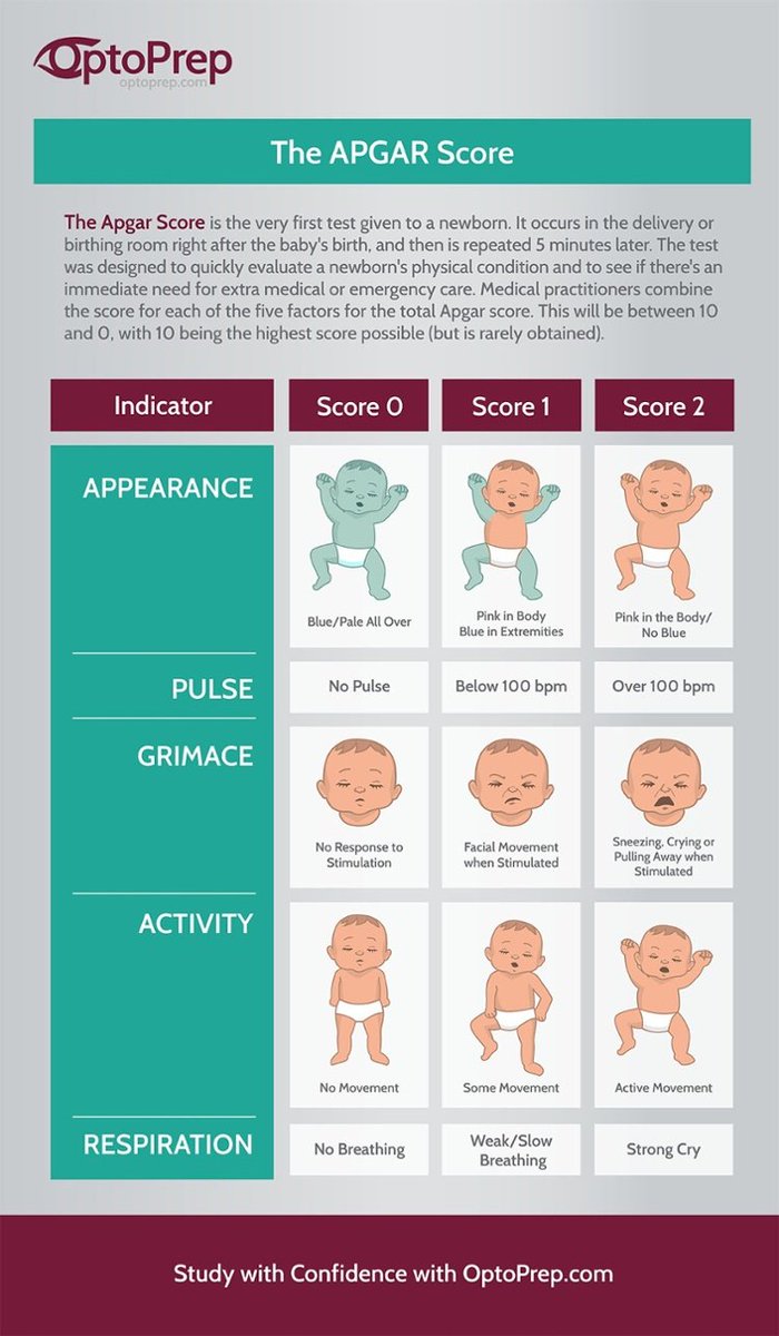 Apgar Score What Is The Apgar Score? Apgar Score Chart, 42% OFF