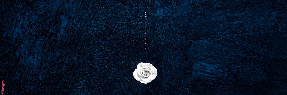 Twitter Headers Roses