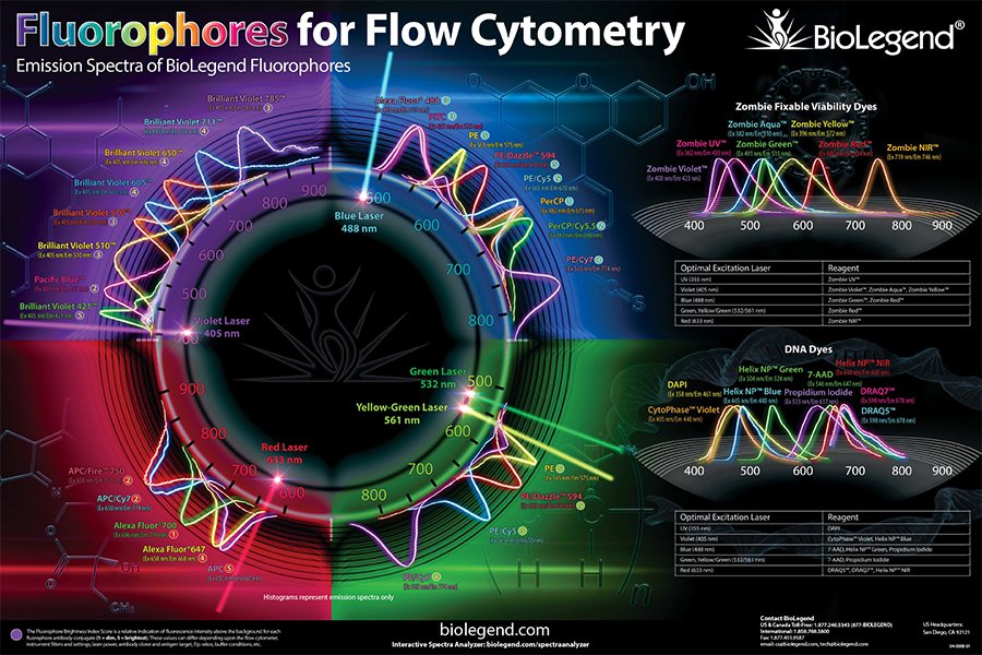 Fluorophore Dyes
