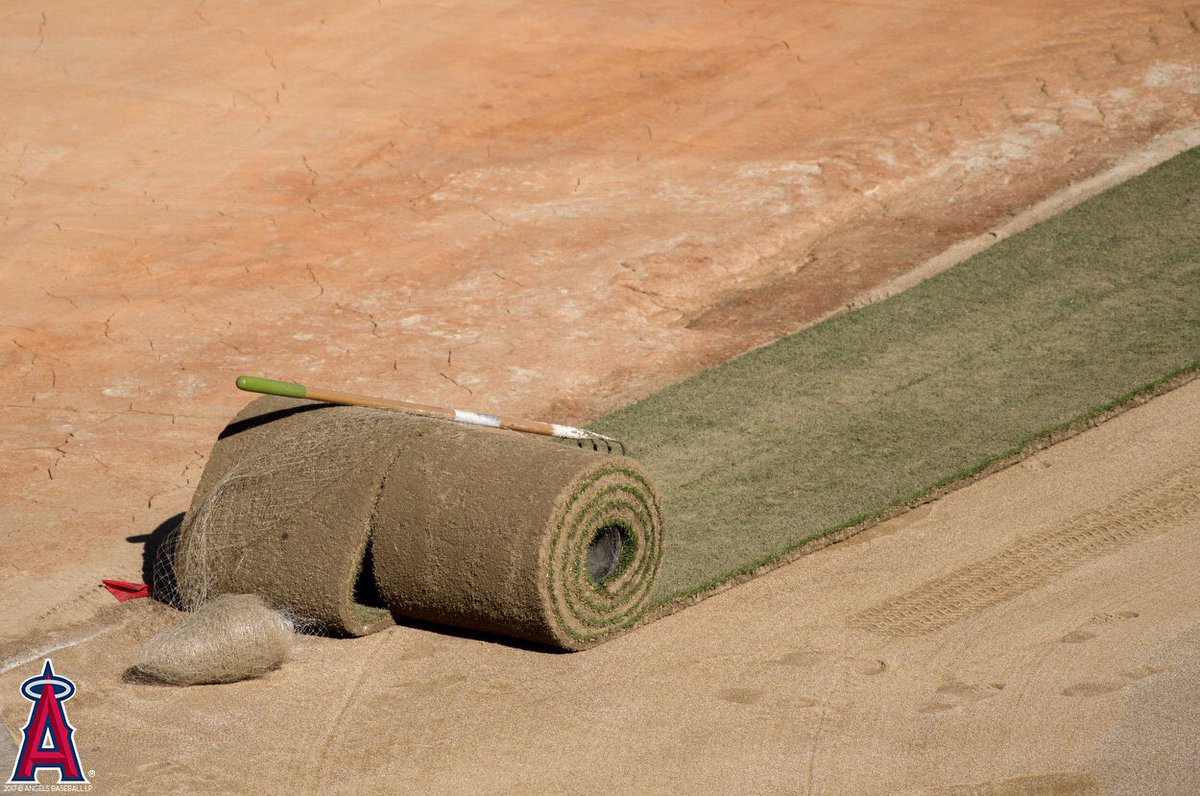 Dirt bikes and Monster Trucks roll out, grass rolls in... 🤗 https://t ...