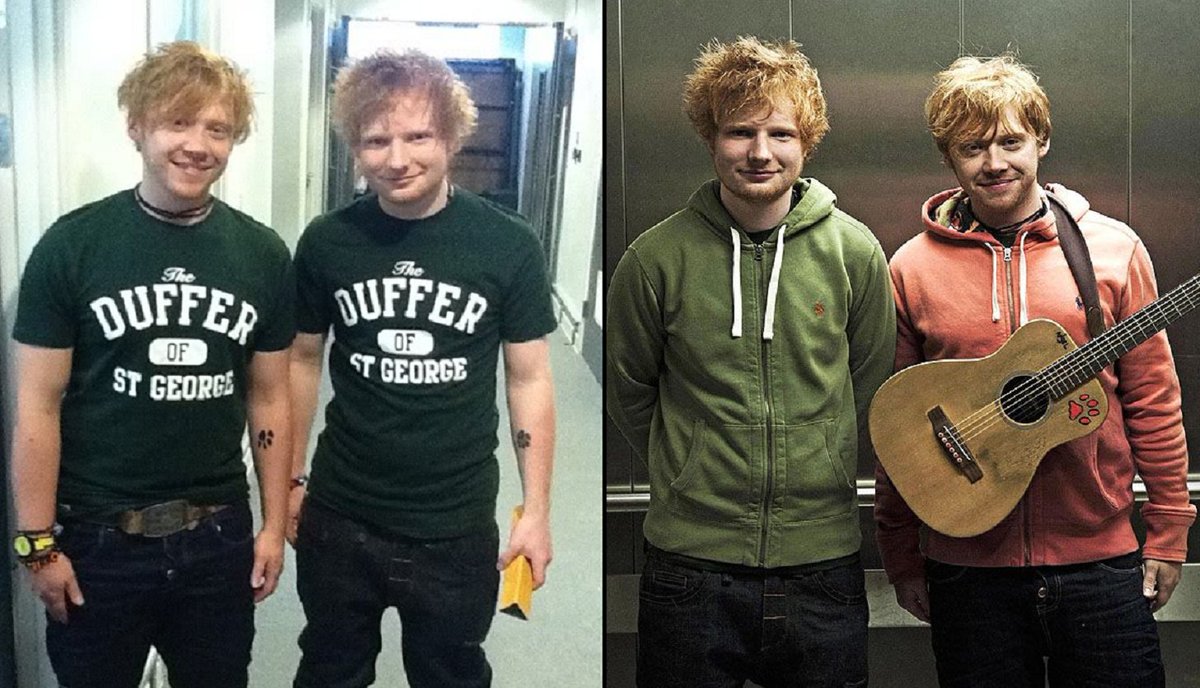 Rupert Grint Ed Sheeran Meme