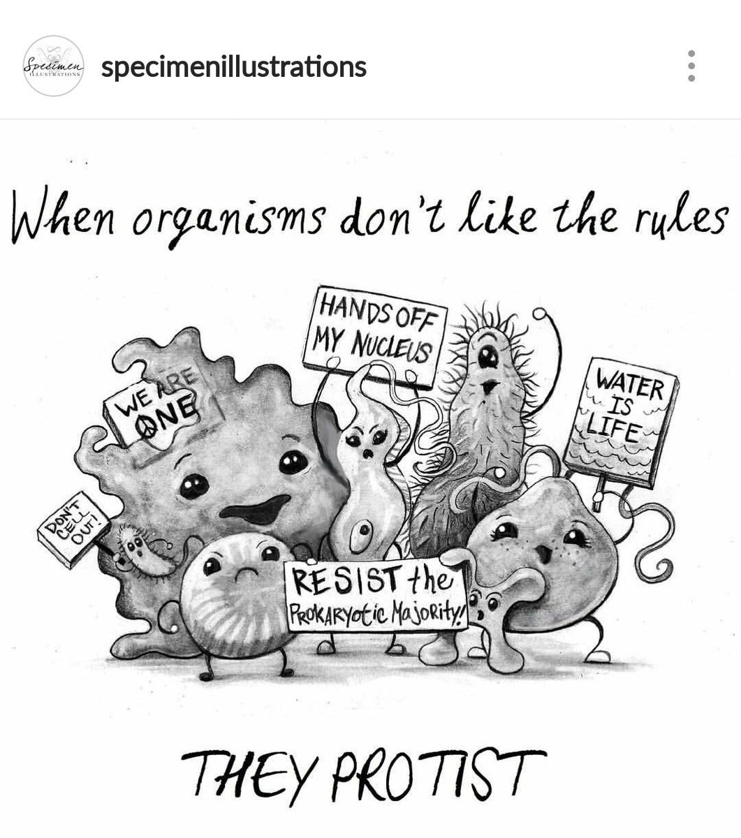 Biology Jokes About Cells