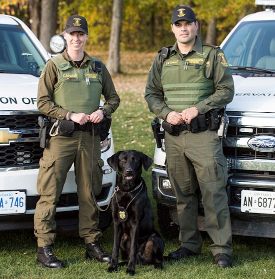 Ontario Natural Resources And Forestry On X: Conservation, 48% OFF