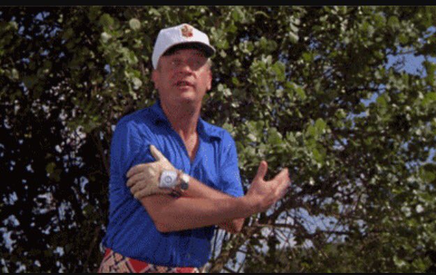 Rodney Dangerfield Caddyshack Gif