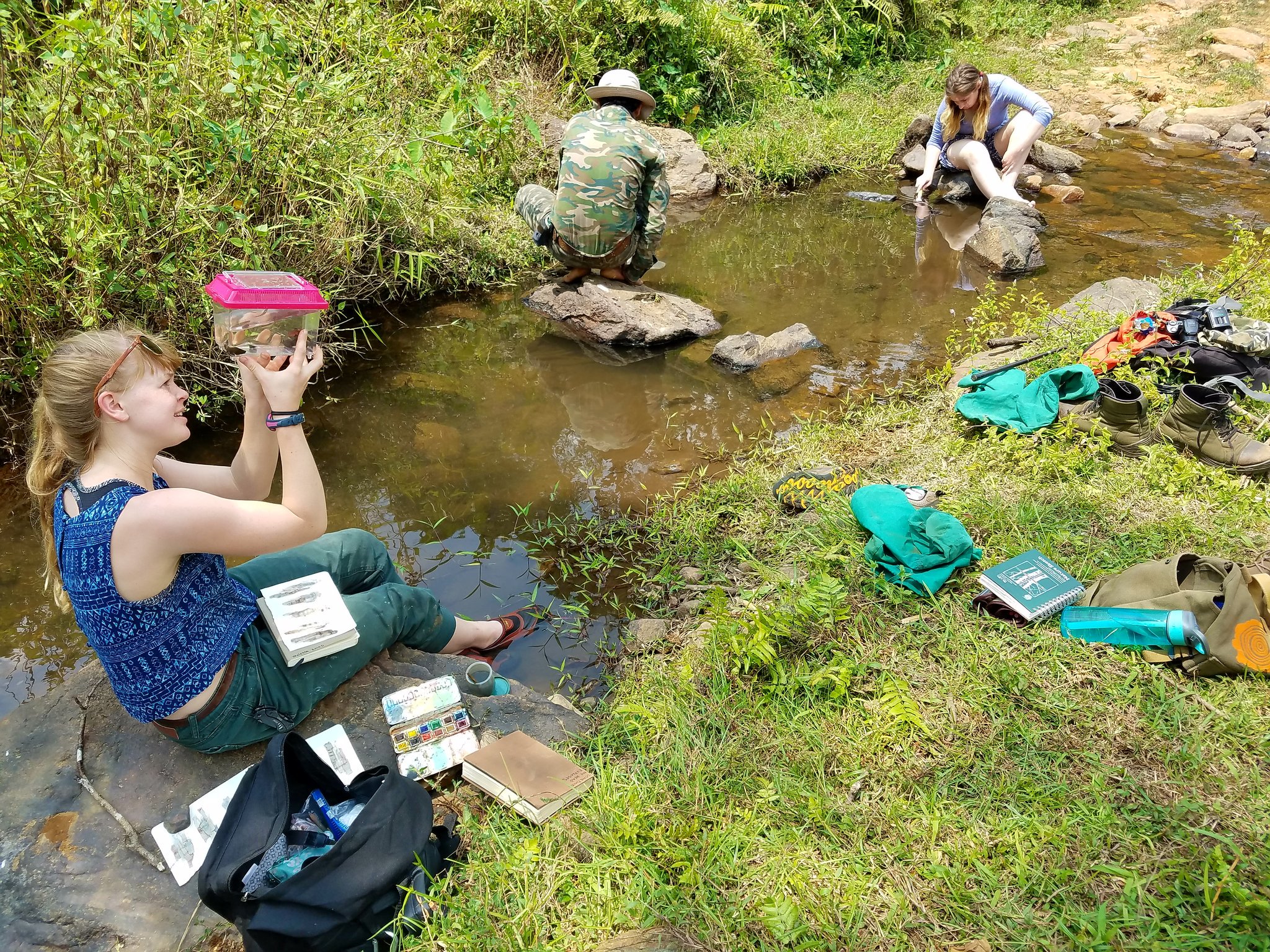 BioMedia Lab on Twitter: "Art + Design students @MassArt integrating Biology+Art to study the # ...