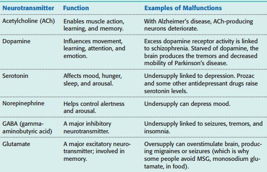 Neurotransmitters And Their Functions Chart