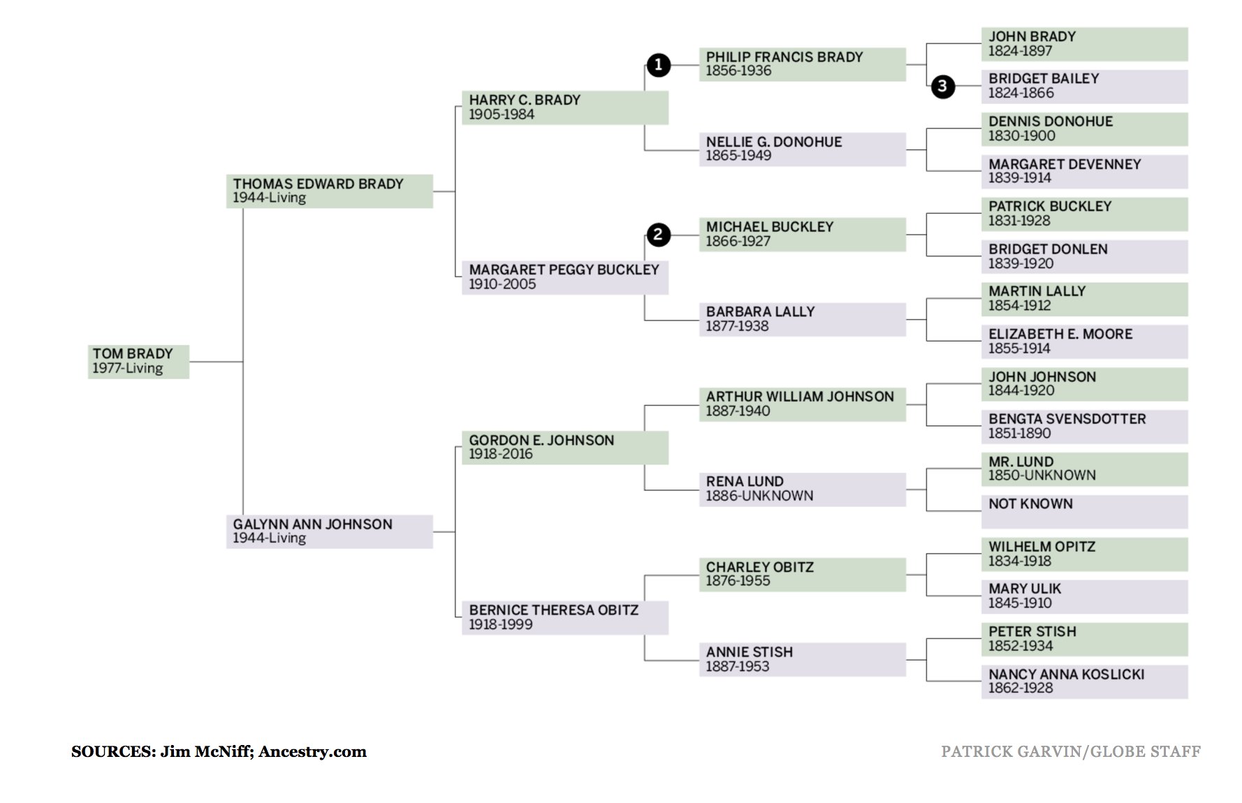 Tom Brady S Family Tree