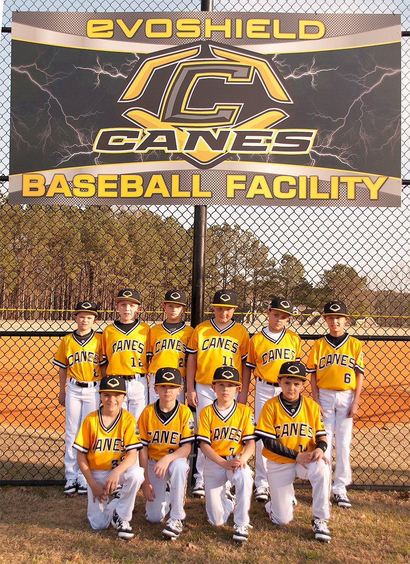 Evoshield Canes Logo Canes Baseball Under Armour White Tech Team