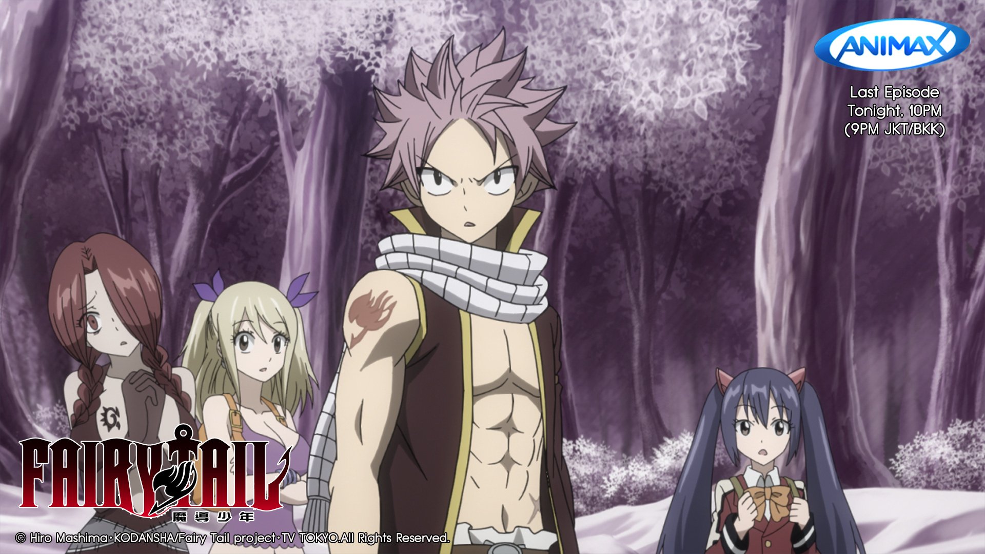 Animax Tv Fairy Tail