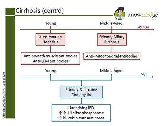 Primary Biliary Cirrhosis Vs Primary Sclerosing Cholangitis