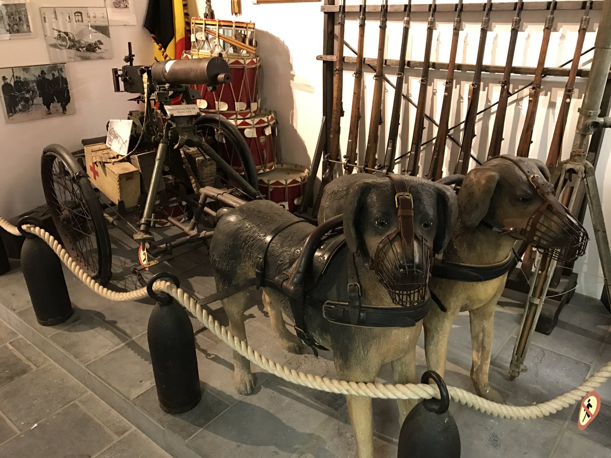 Dog With Machine Gun