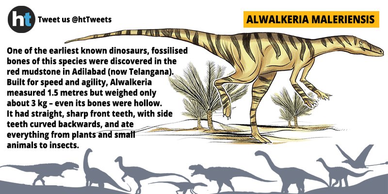 Ever heard of Jainosaurus? Or Rajasaurus? Find out more about dinosaurs ...