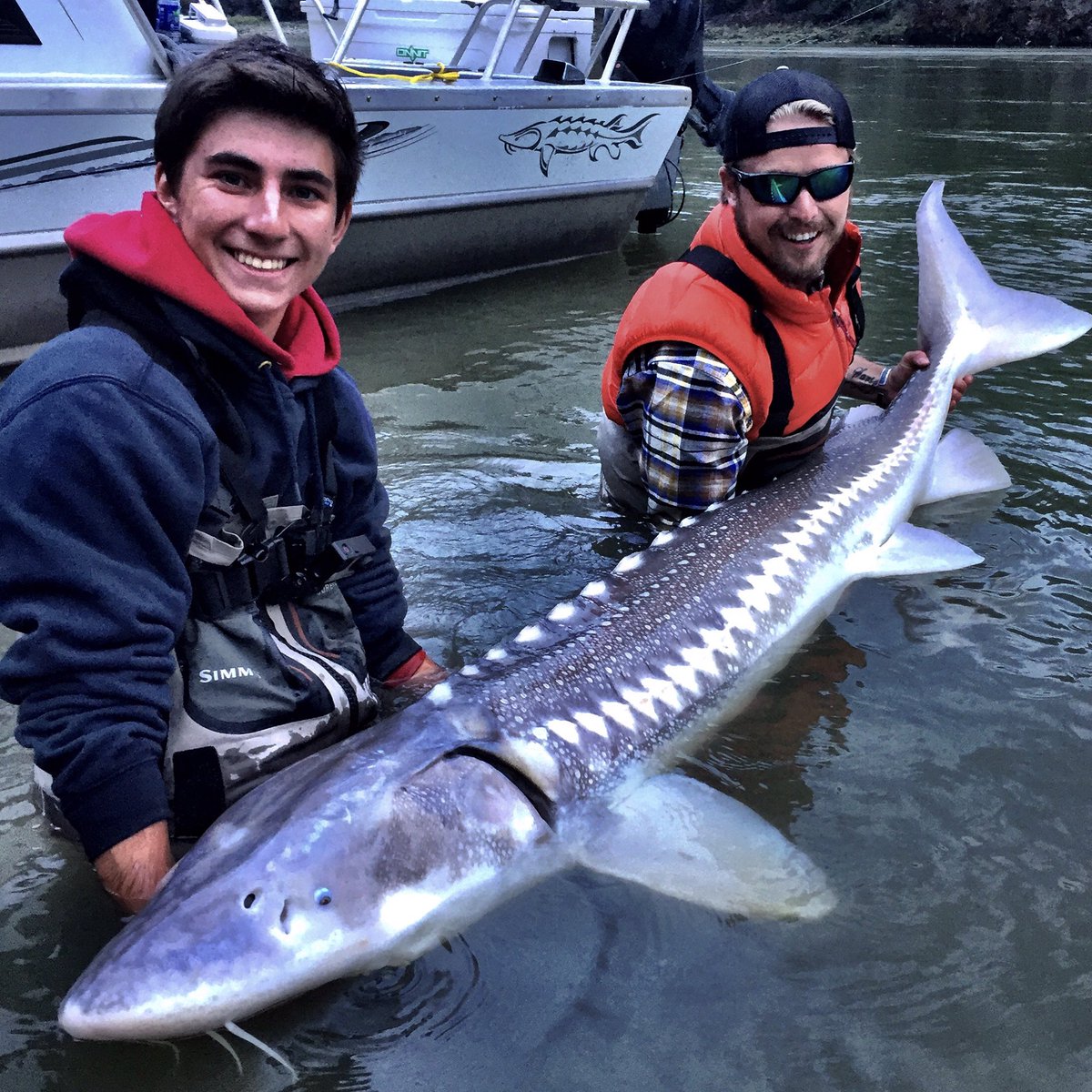 A giant sturgeon [X-post from r/pics] : r/TheDepthsBelow