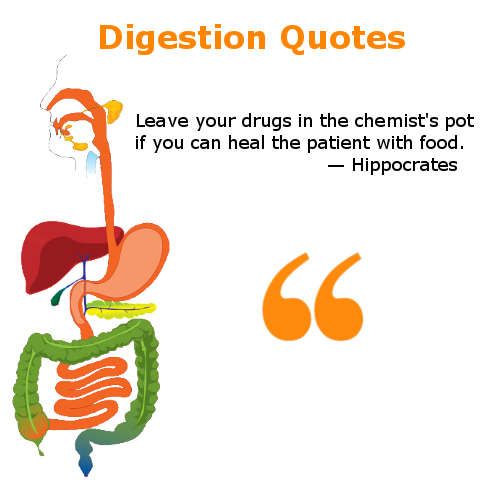 Digestive System Sayings Milk Fats Built For Digestion