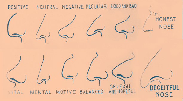 Nose Shapes And Names