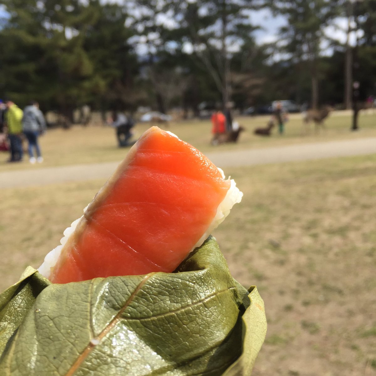 SURNIA(@SURNIA_JPN) - Twilog (ツイログ)