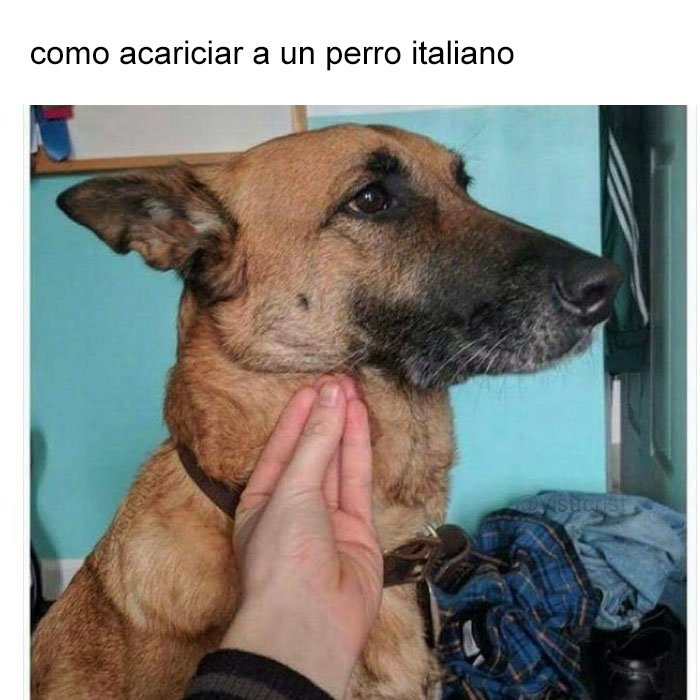 Memes de italianos - Foros Perú
