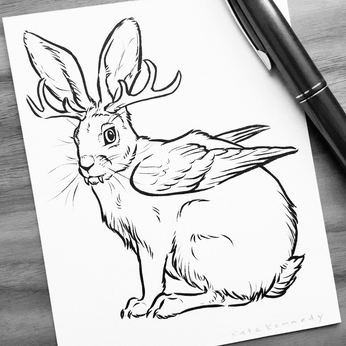 Wolpertinger Sketch