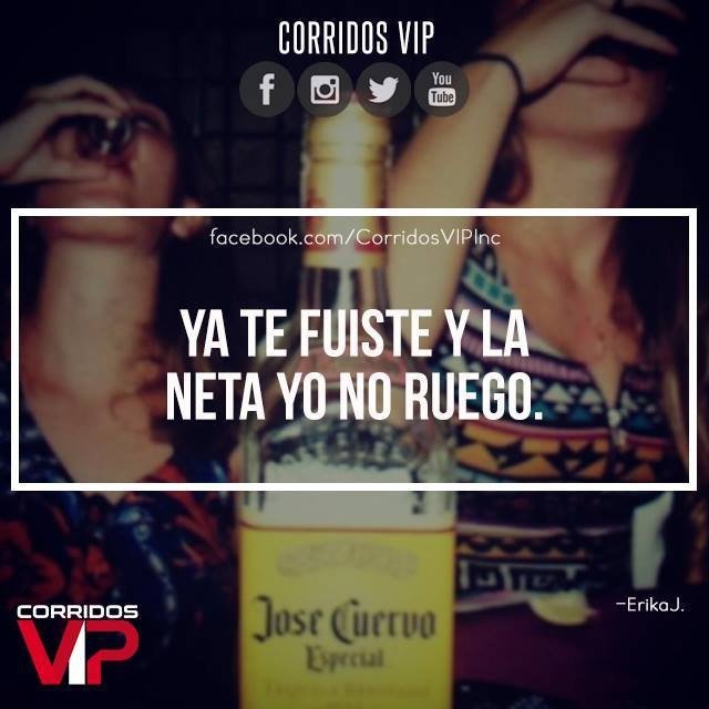 Corridos Quotes Corridos VIP On X: "Yo No Ruego.! 😌