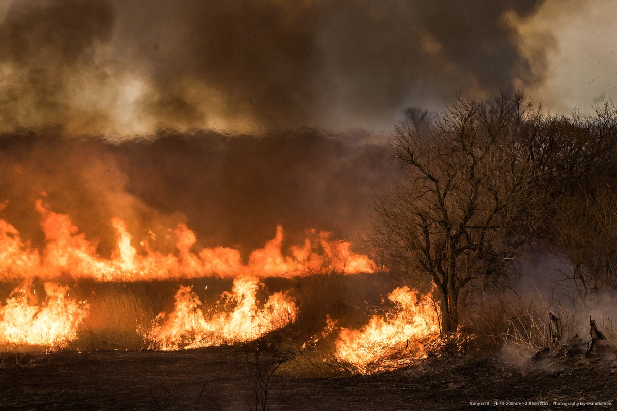 KABURAGI (@Kaburagi_1289) | Twitter