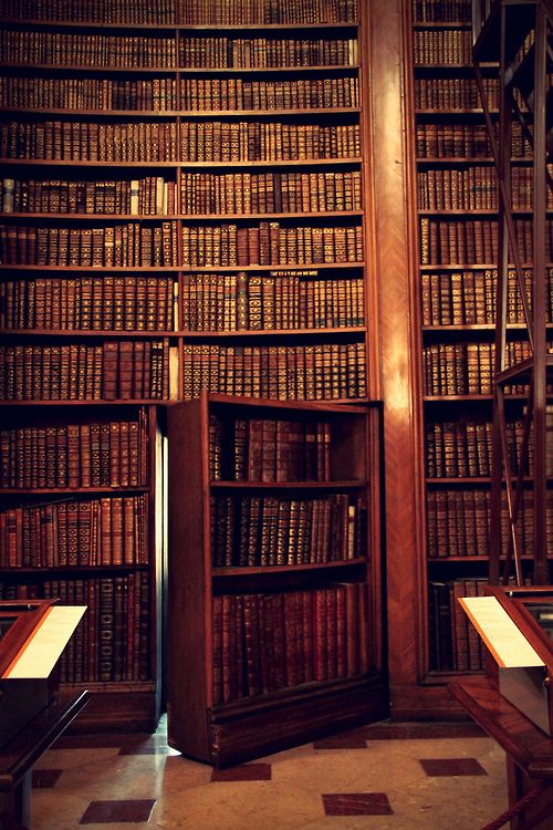 Dream Library Tumblr