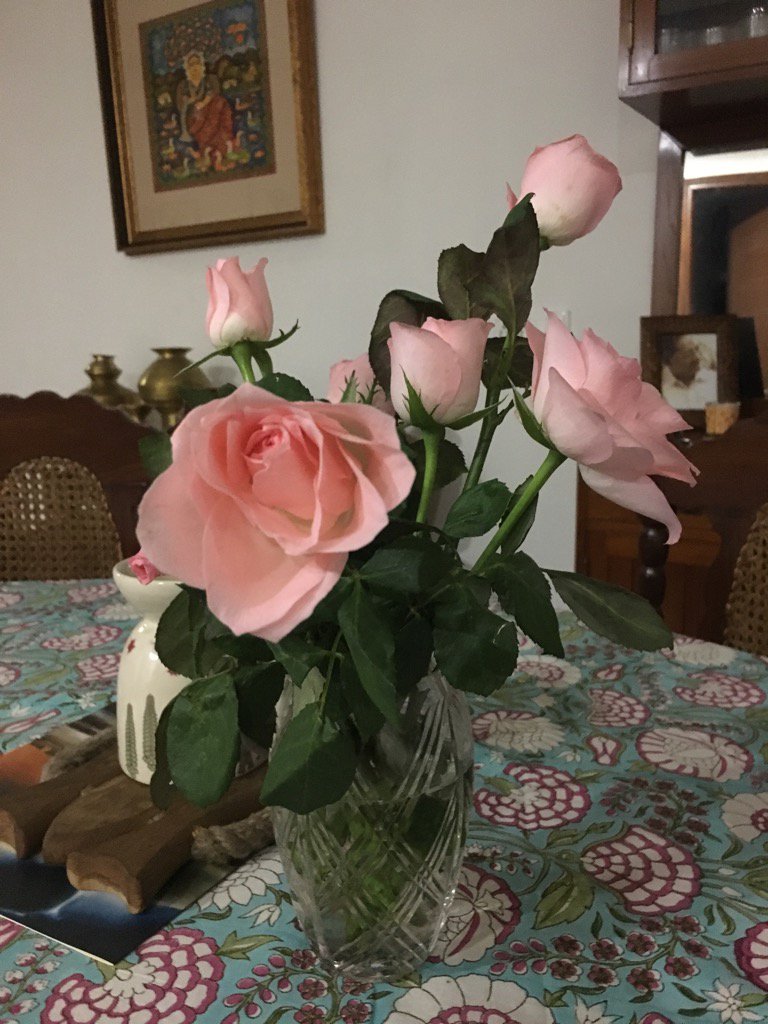 Swati Mitra (@swati1955) | Twitter Swati Mitra (@swati1955) | Twitter