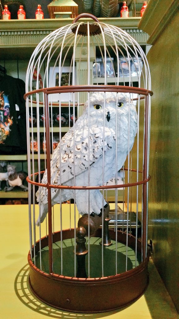 Harry Potter Hedwig Cage
