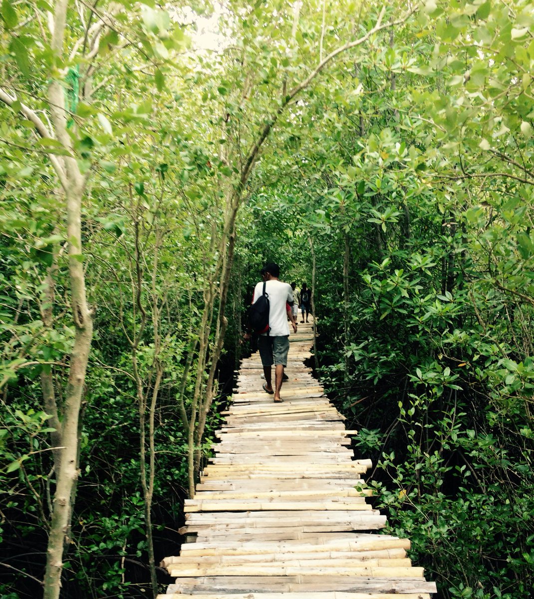 Ryan Peace (@ryan_peace19) | Twitter