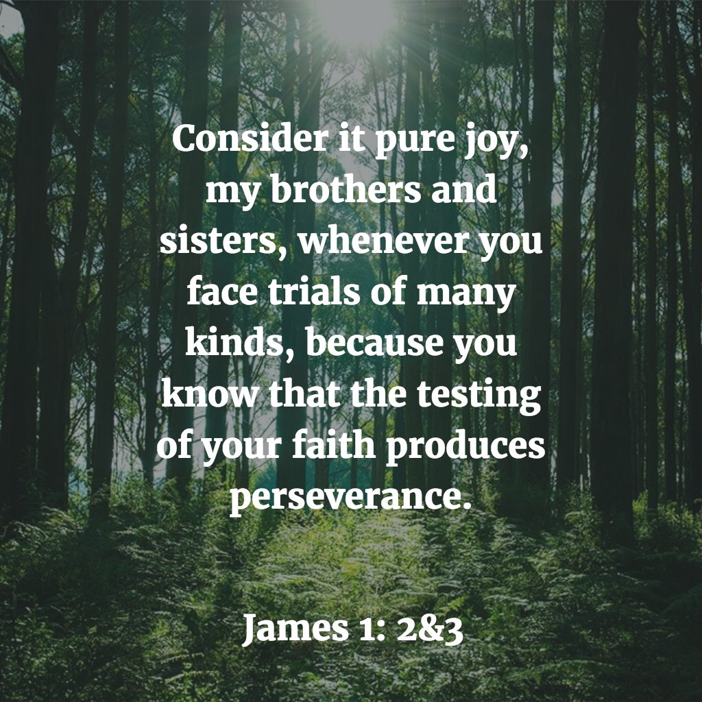 Consider It Pure Joy