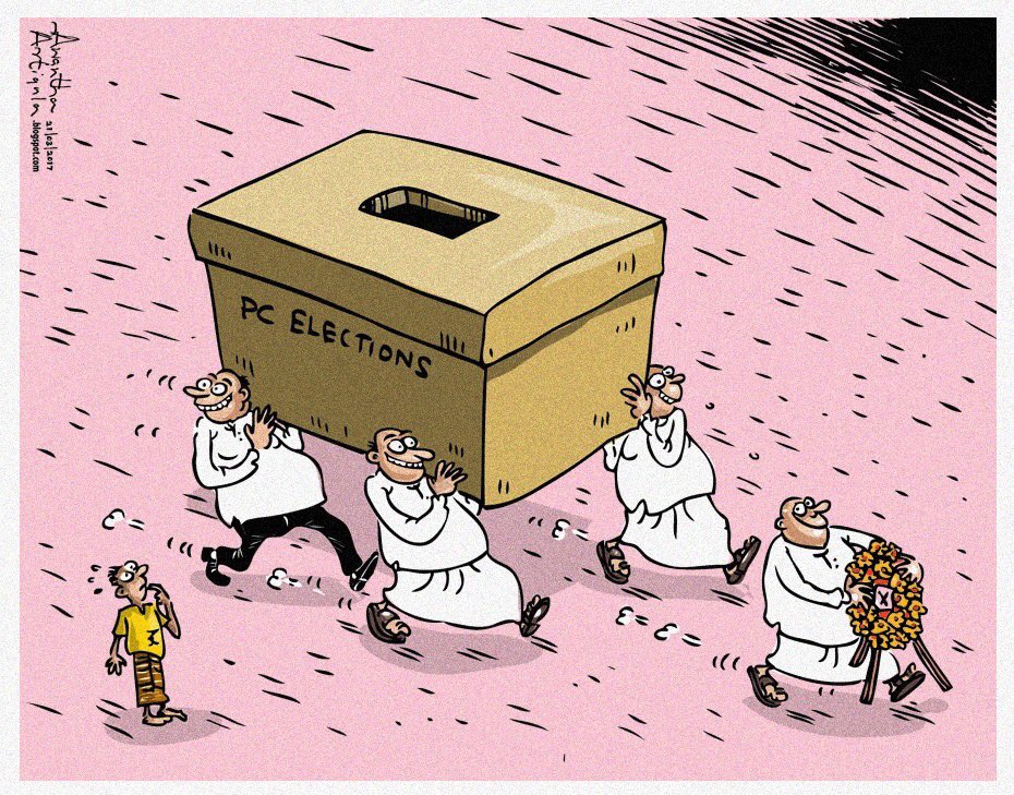 Cartoons About Local Politics