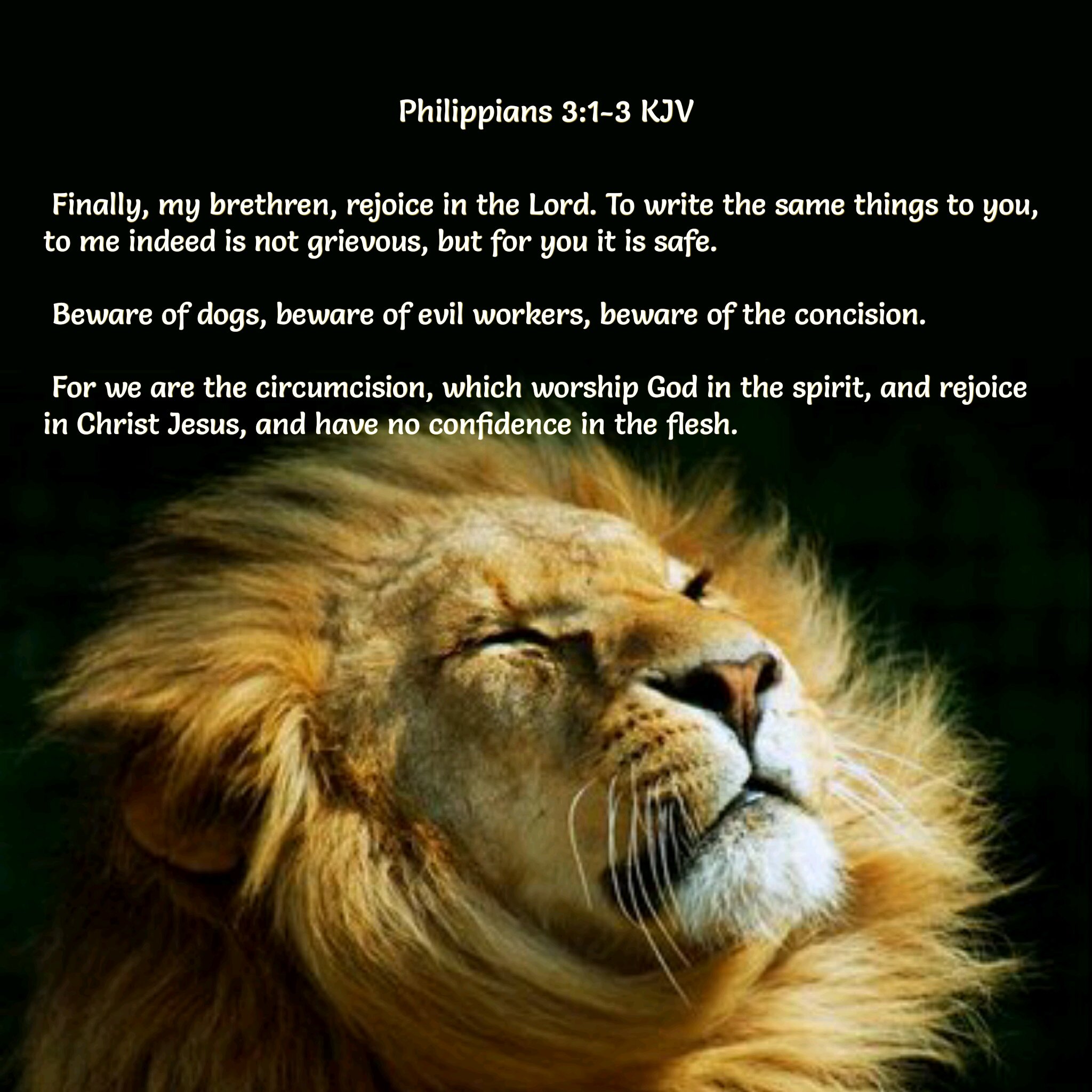 Who Are The Dogs In The Bible