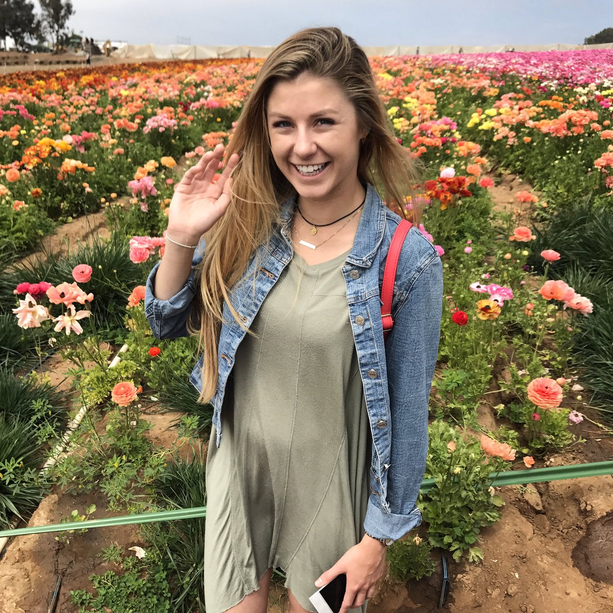 Alana Lee Instagram, Twitter & Facebook on IDCrawl