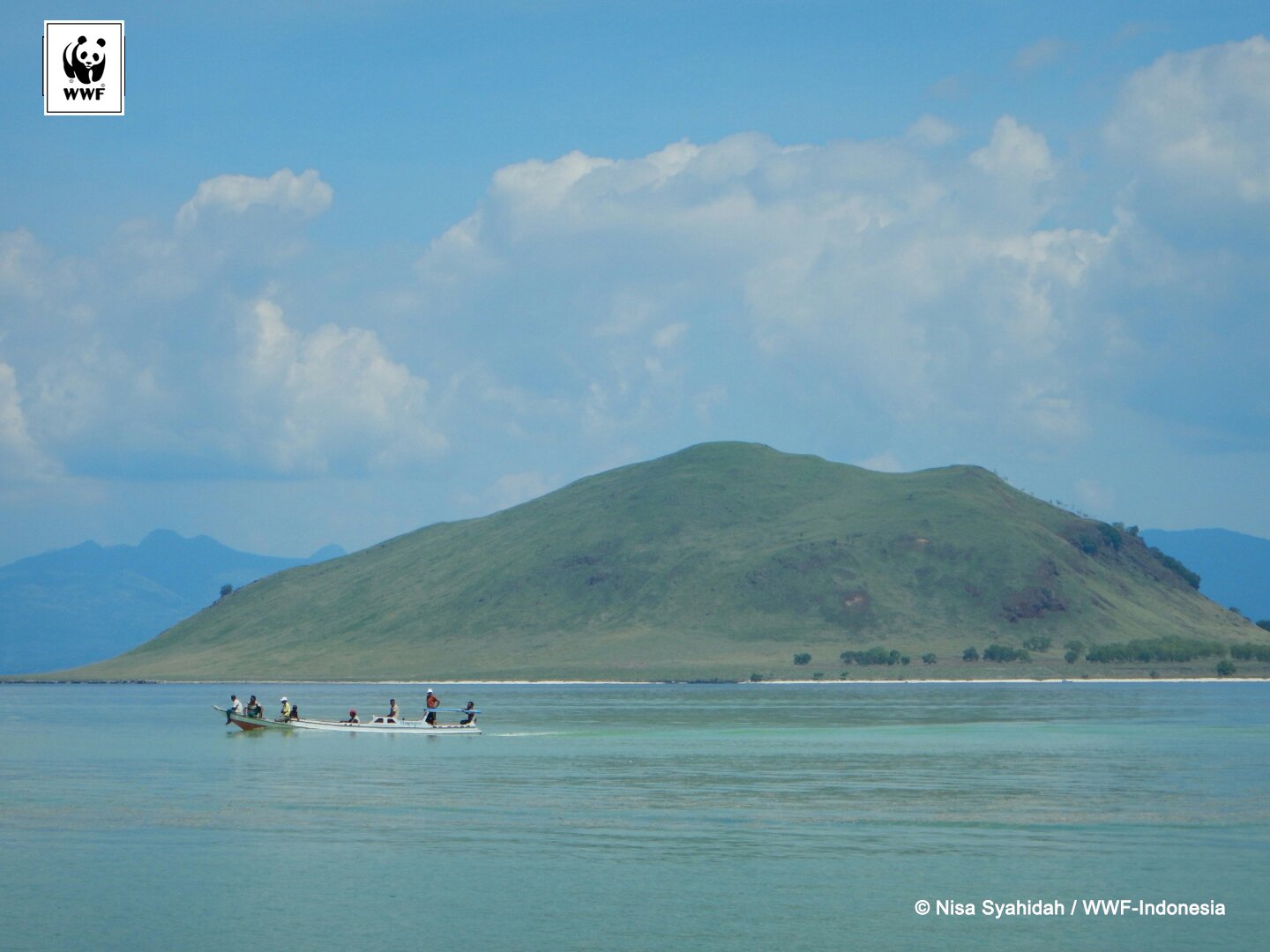 Yayasan WWF Indonesia on Twitter: Yayasan WWF Indonesia on Twitter: