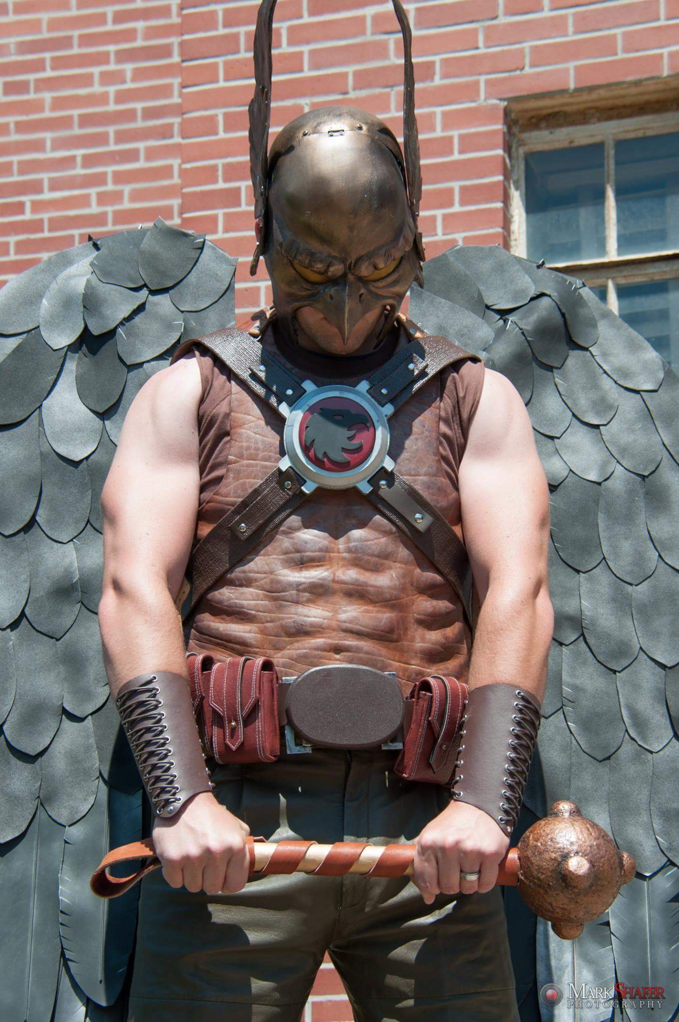 Hawkman Smallville Costume