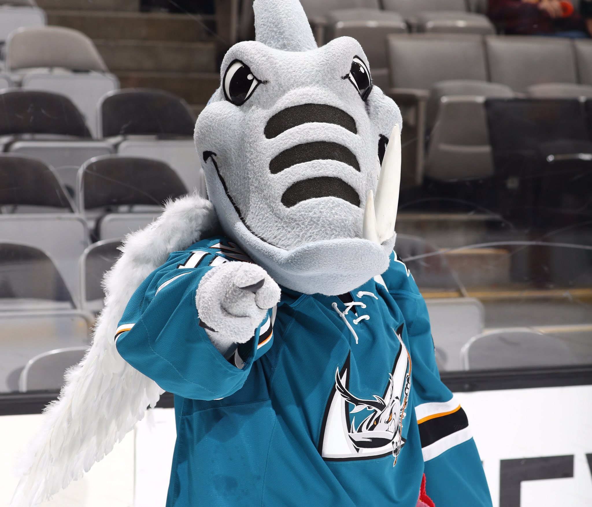 Barracuda Mascot Logo