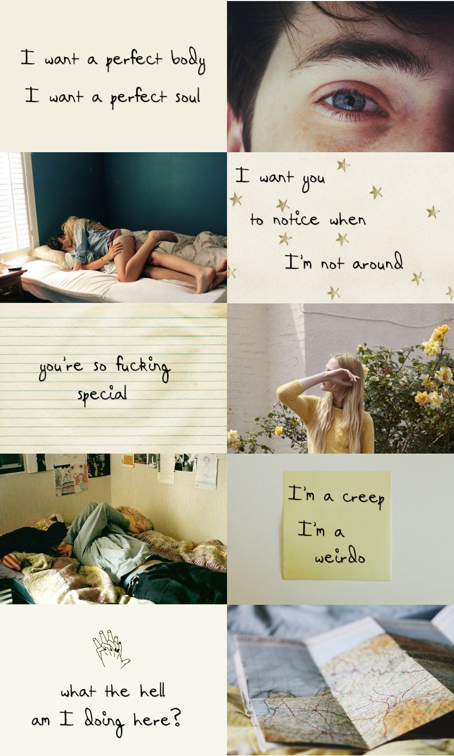 Theodore Finch Quotes Quote Compendium: All The Bright Places | A