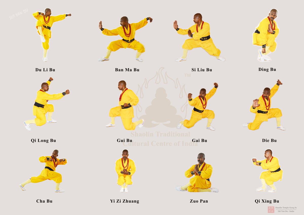 Shaolin Kung Fu Stances